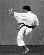 Karate History